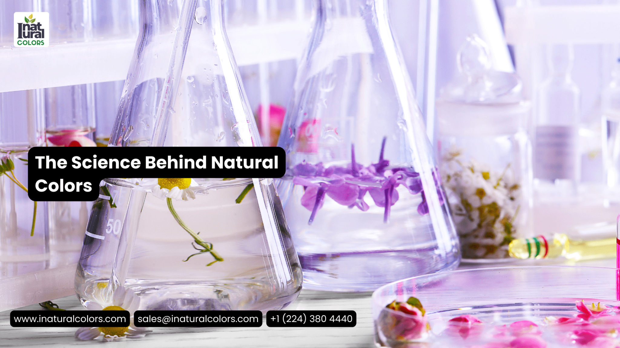 The Science Behind Natural Colors - iNatural Colors
