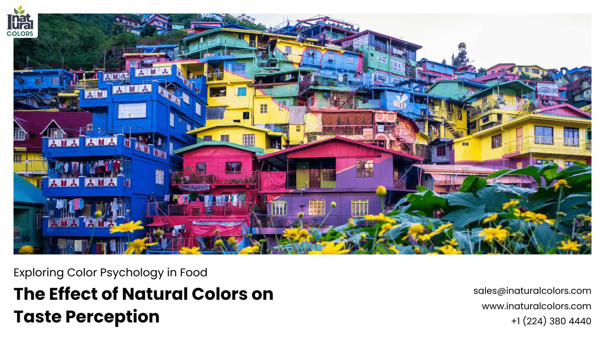 The Effect of Natural Colors on Taste Perception